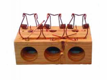 Gama ratoneras de madera | Garhe