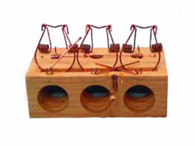 Gama ratoneras de madera | Garhe